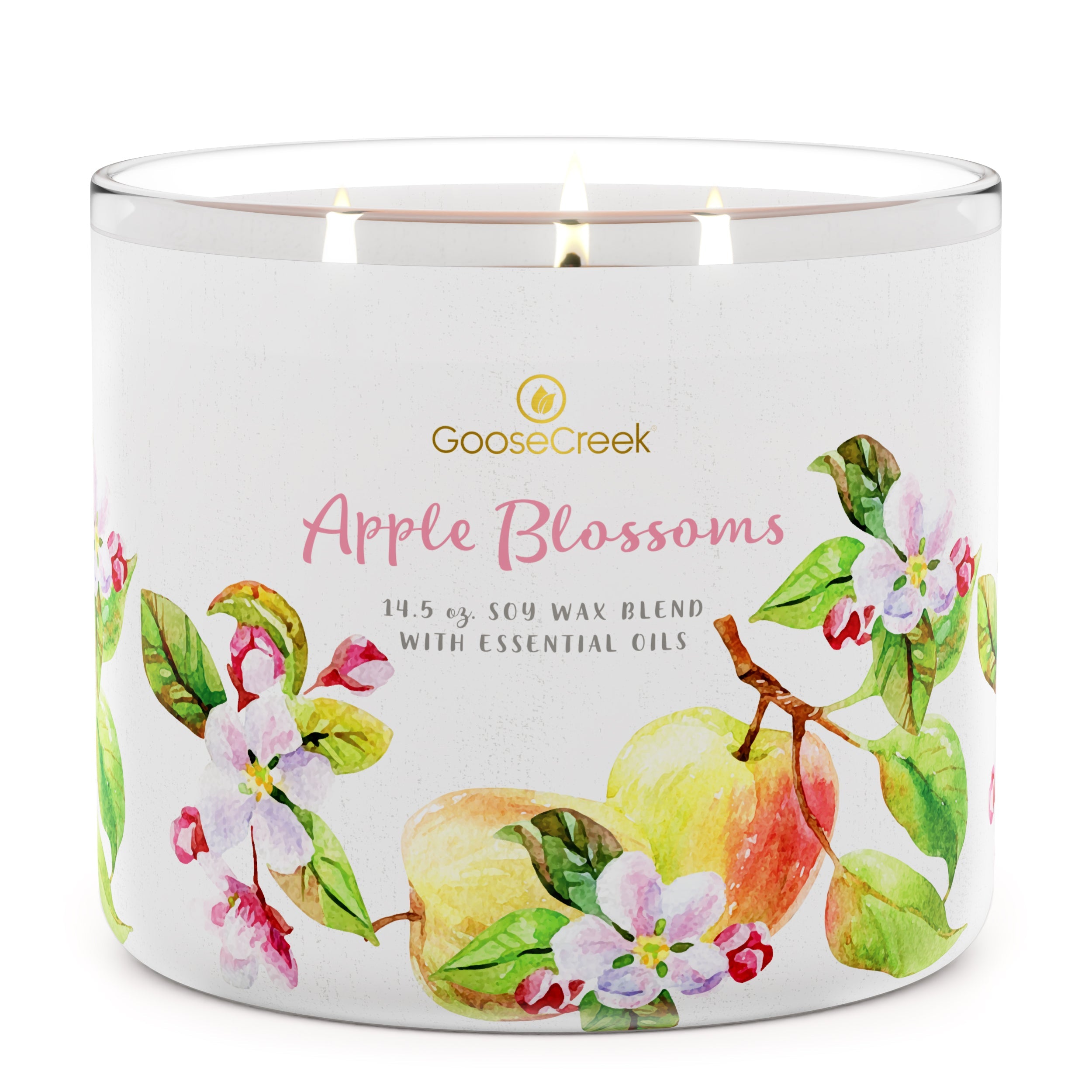 Apple Blossoms Large 3-Wick Candle: Crisp Apple and Soft Blooms, Hand ...
