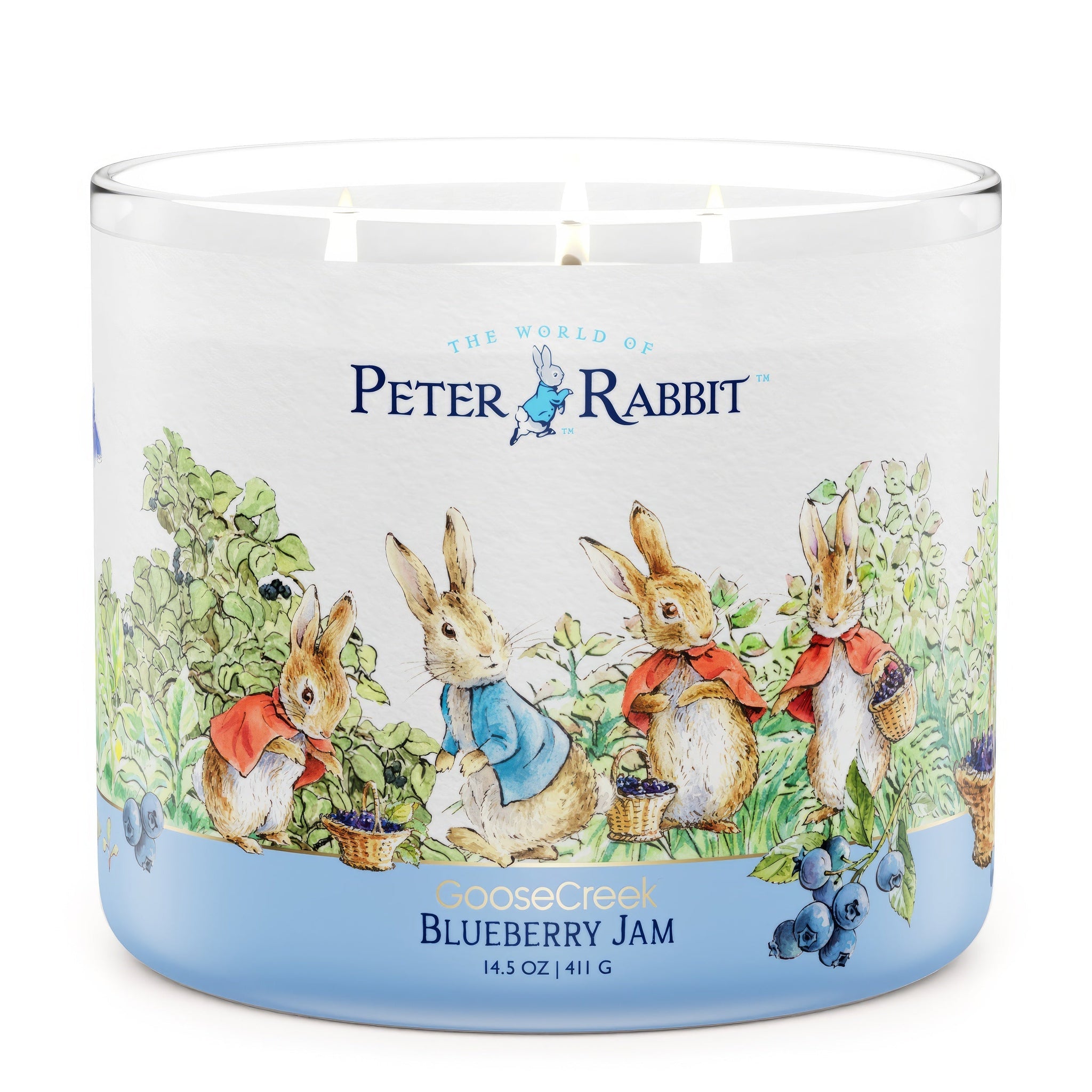 Peter Rabbit Blueberry Jam Large 3-Wick Candle – Goose Creek Candle