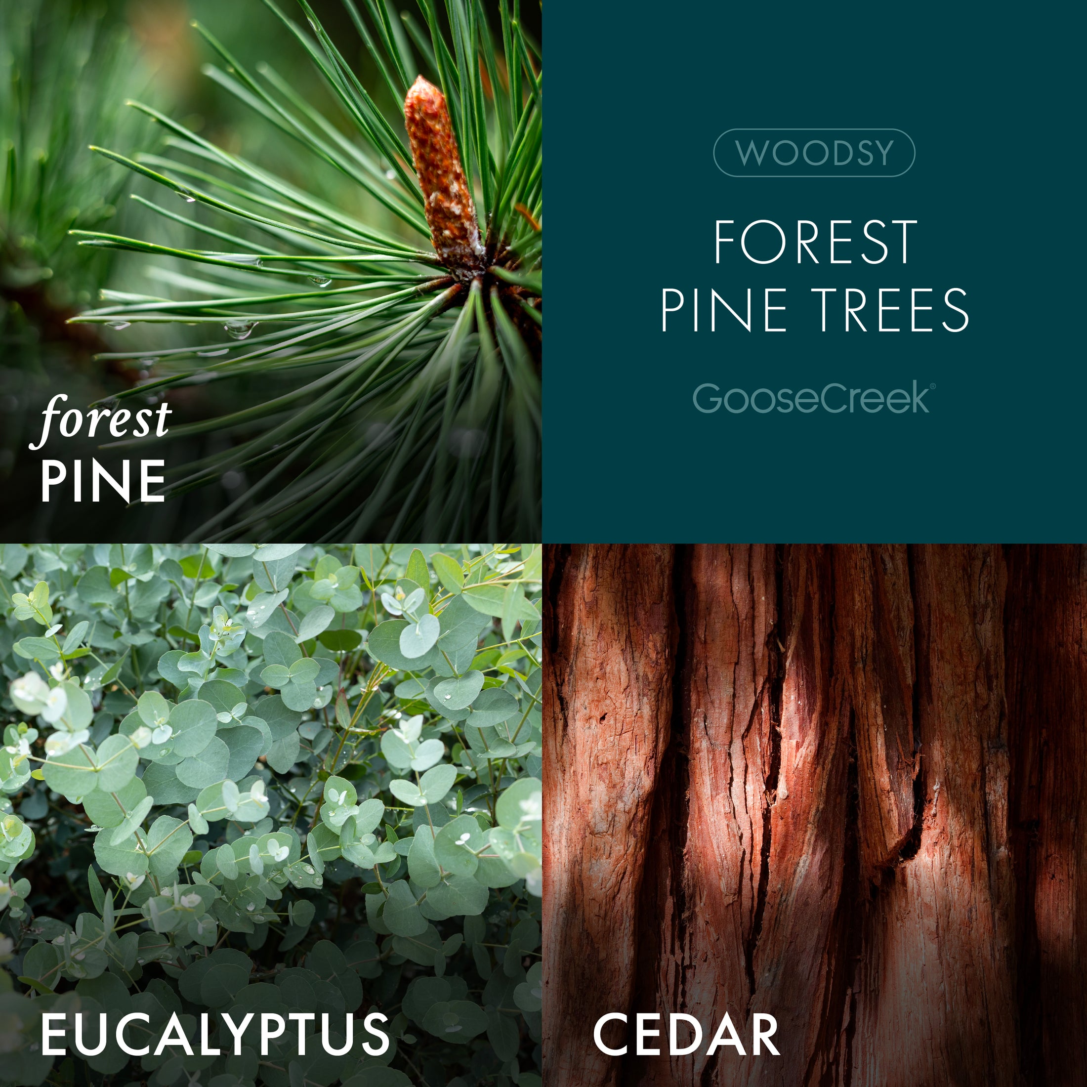 Forest Pine Trees Large 3-Wick Candle - Set the Mood with the Soothing ...