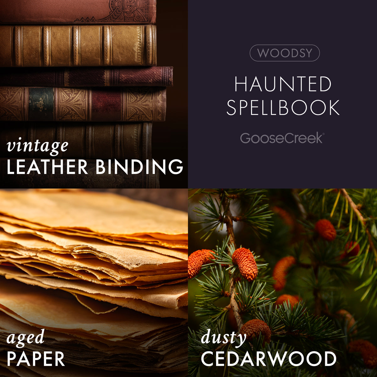 Haunted Spellbook 3-Wick Candle – Goose Creek Candle
