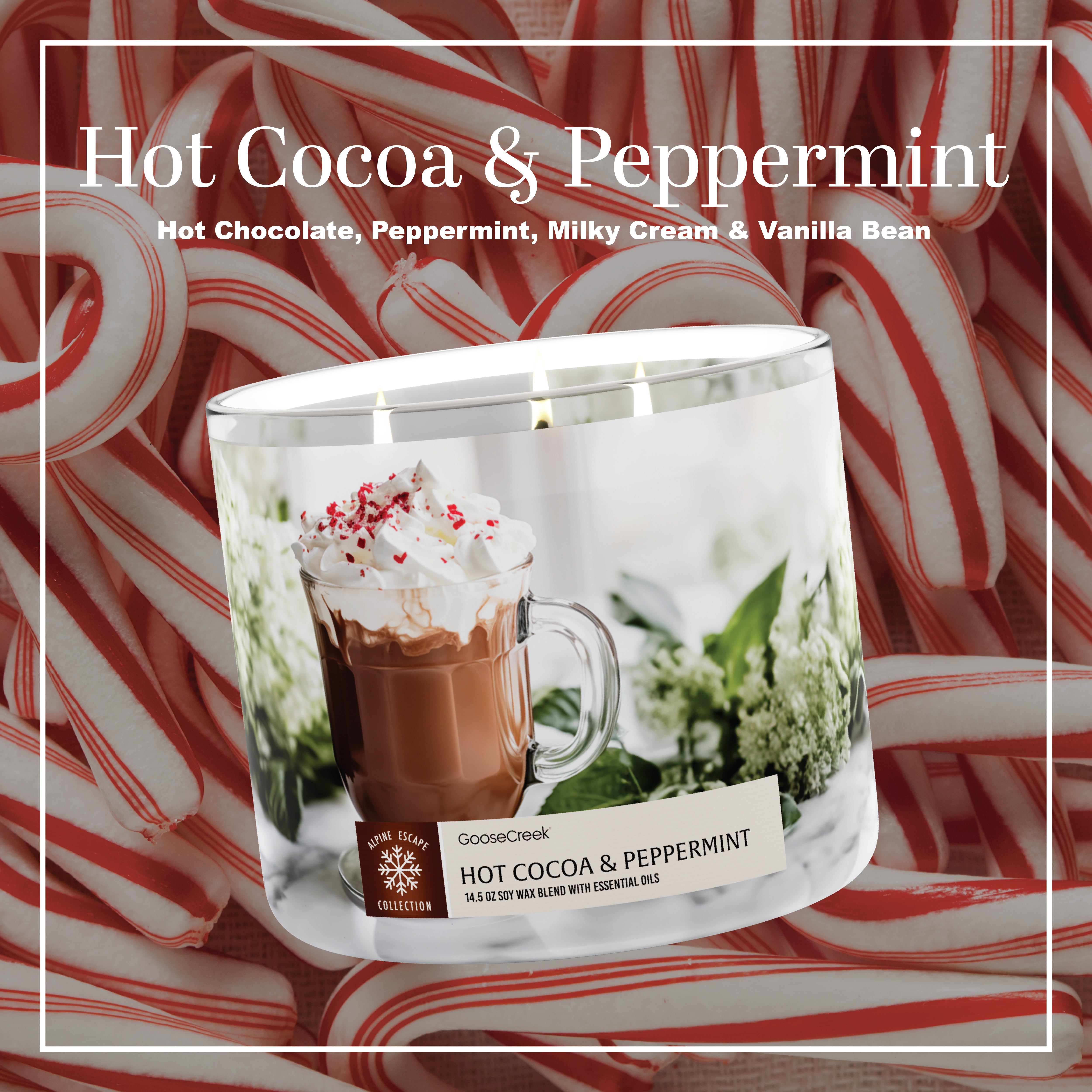 Hot Cocoa & Peppermint 3-Wick Candle | Rich Chocolate and Refreshing ...