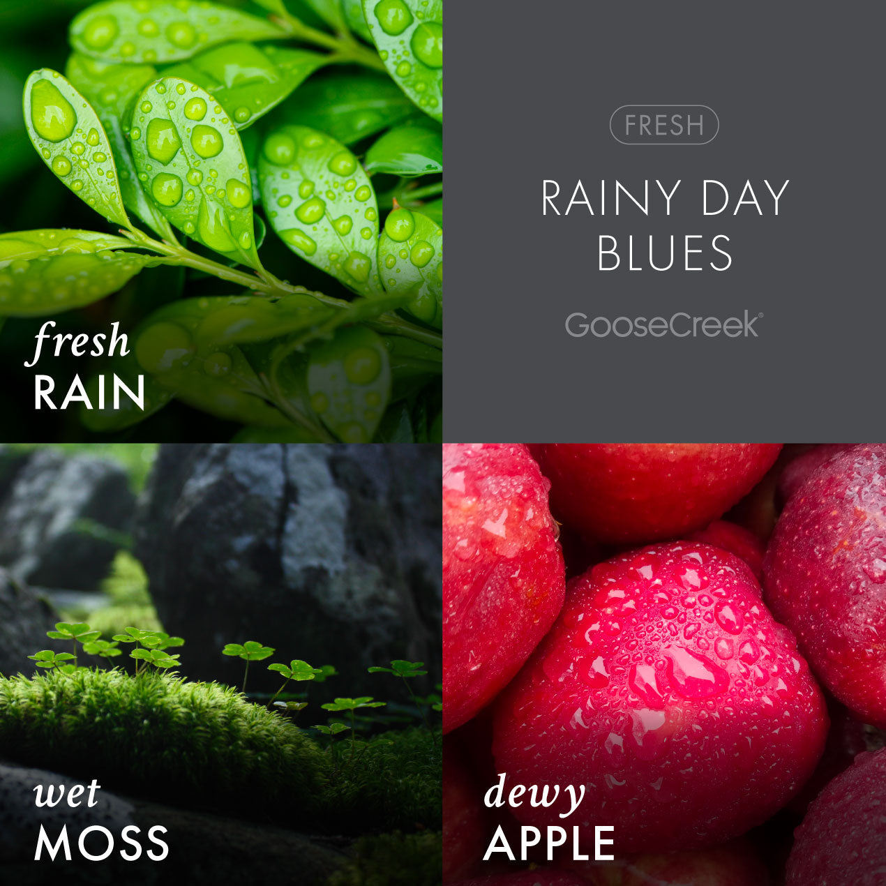 Rainy Day Blues 3-Wick Candle – Goose Creek Candle