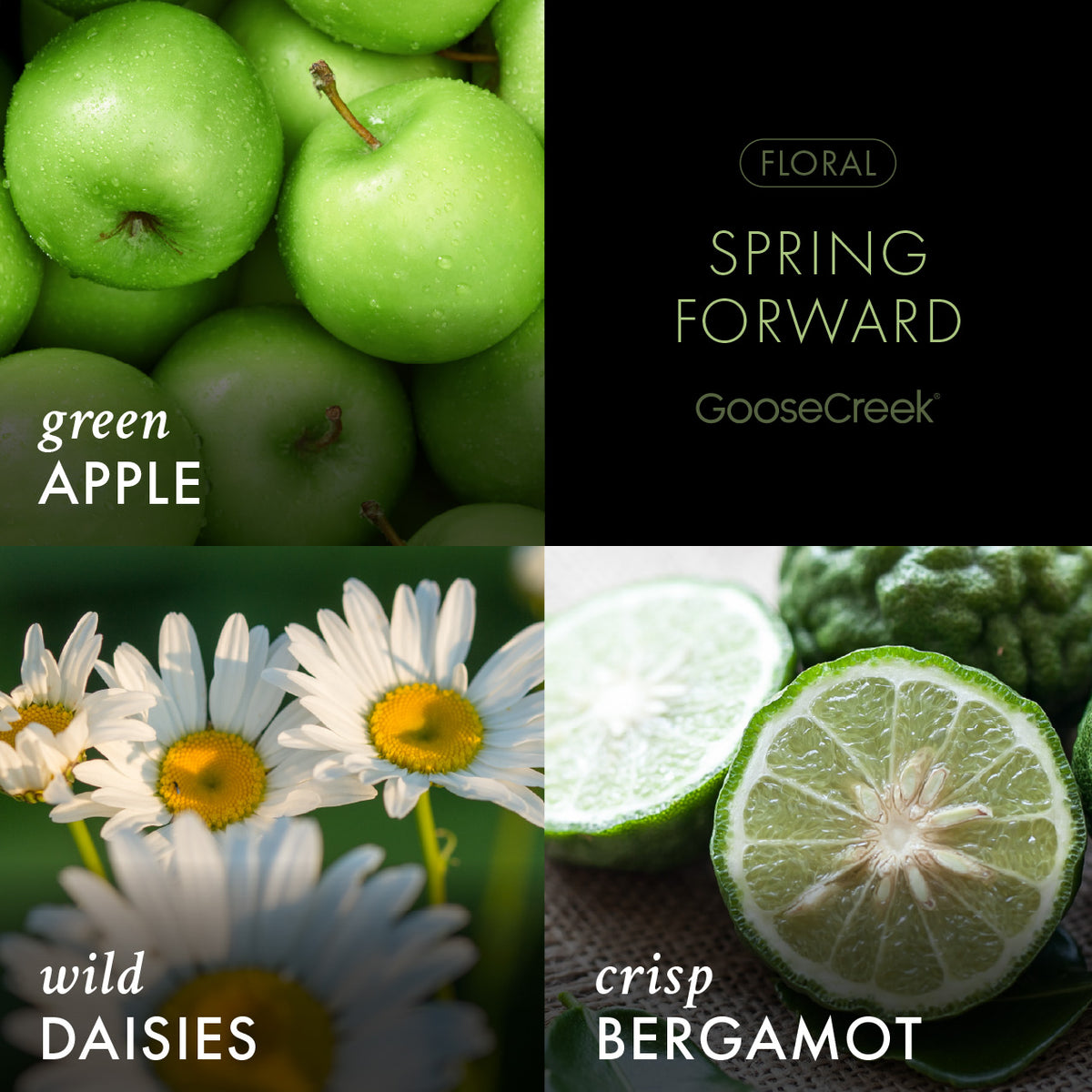 Spring Forward 3-Wick Candle – Goose Creek Candle