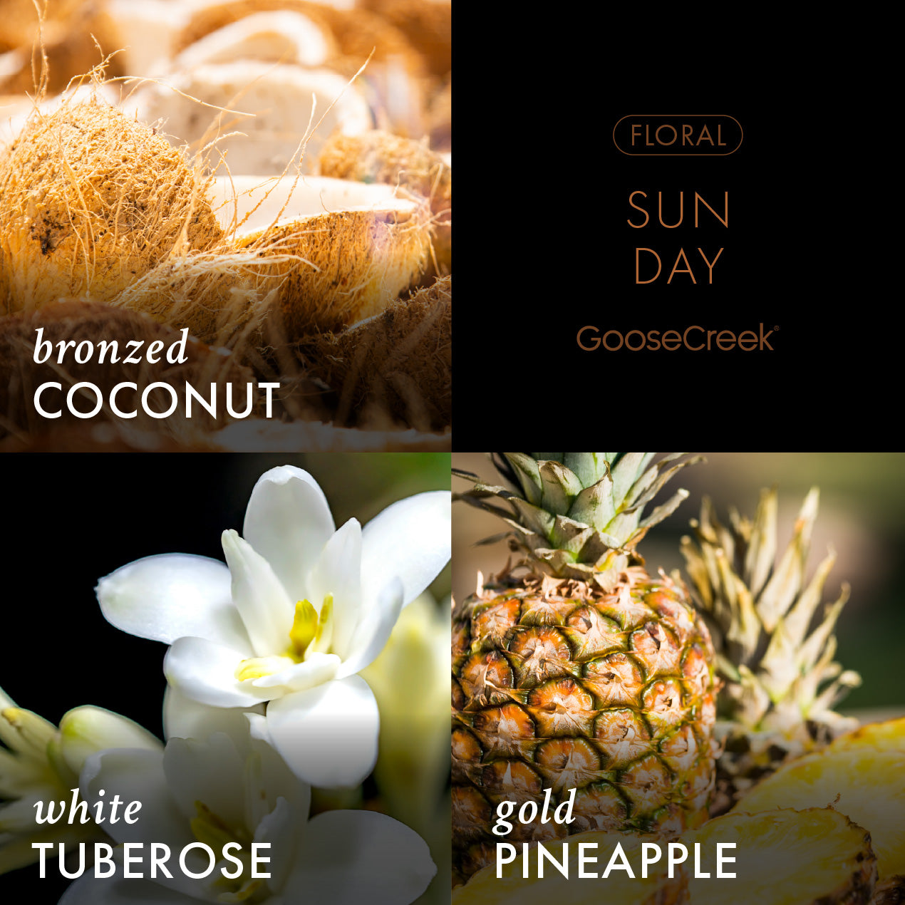 Sun Day 3-Wick Candle – Goose Creek Candle