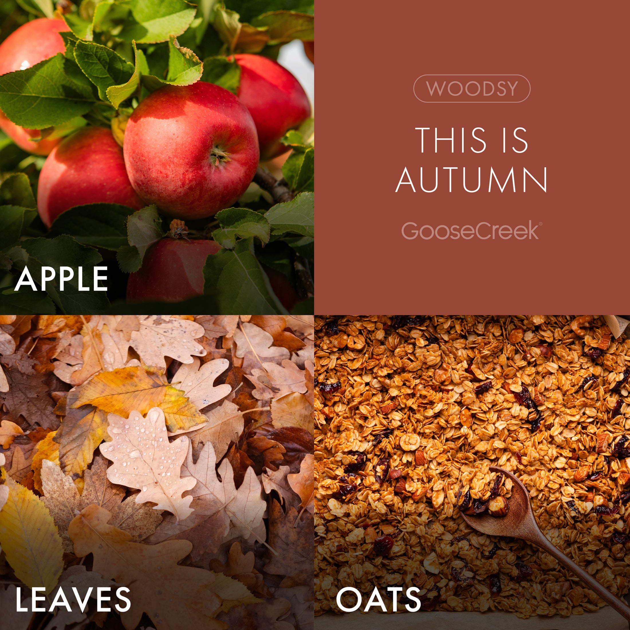 This is Autumn Large 3-Wick Candle: Embrace the Cozy Comforts of Autumn ...