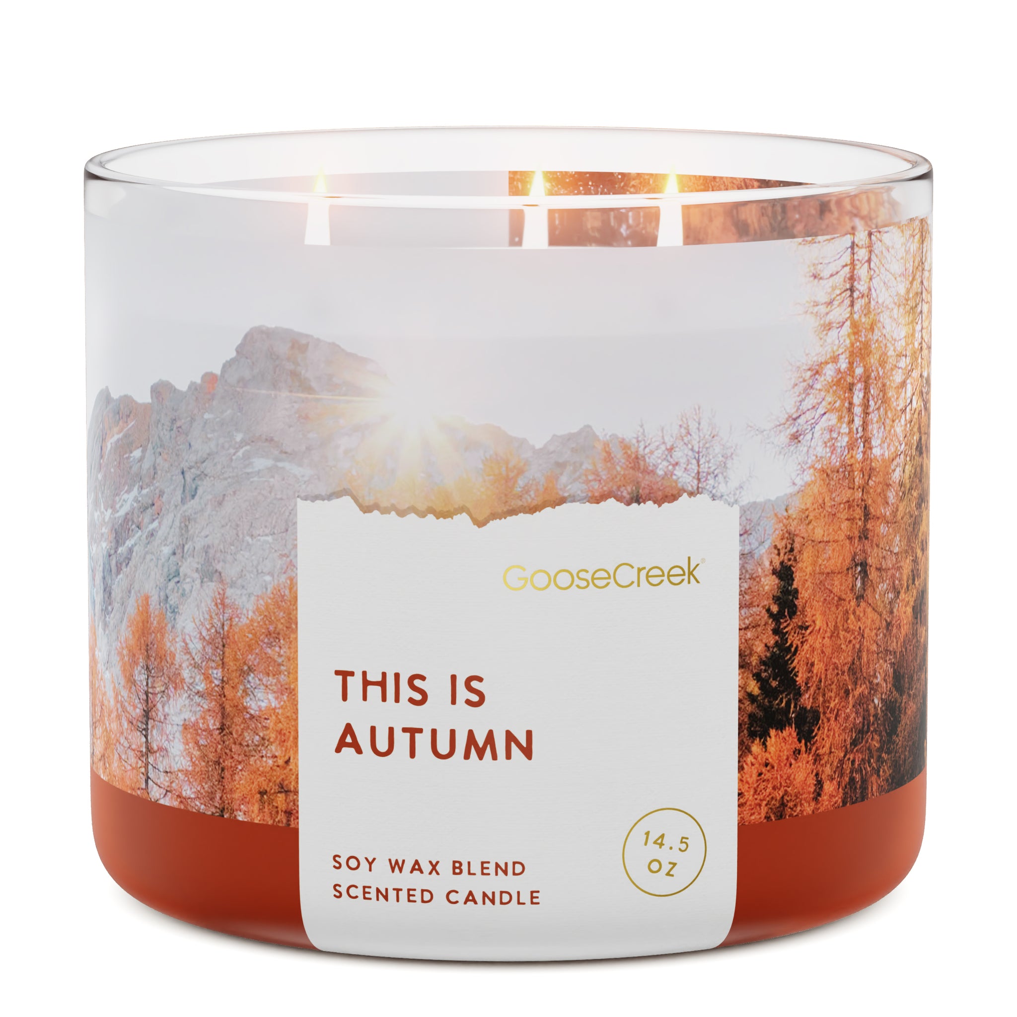 This is Autumn Large 3-Wick Candle: Embrace the Cozy Comforts of Autumn ...
