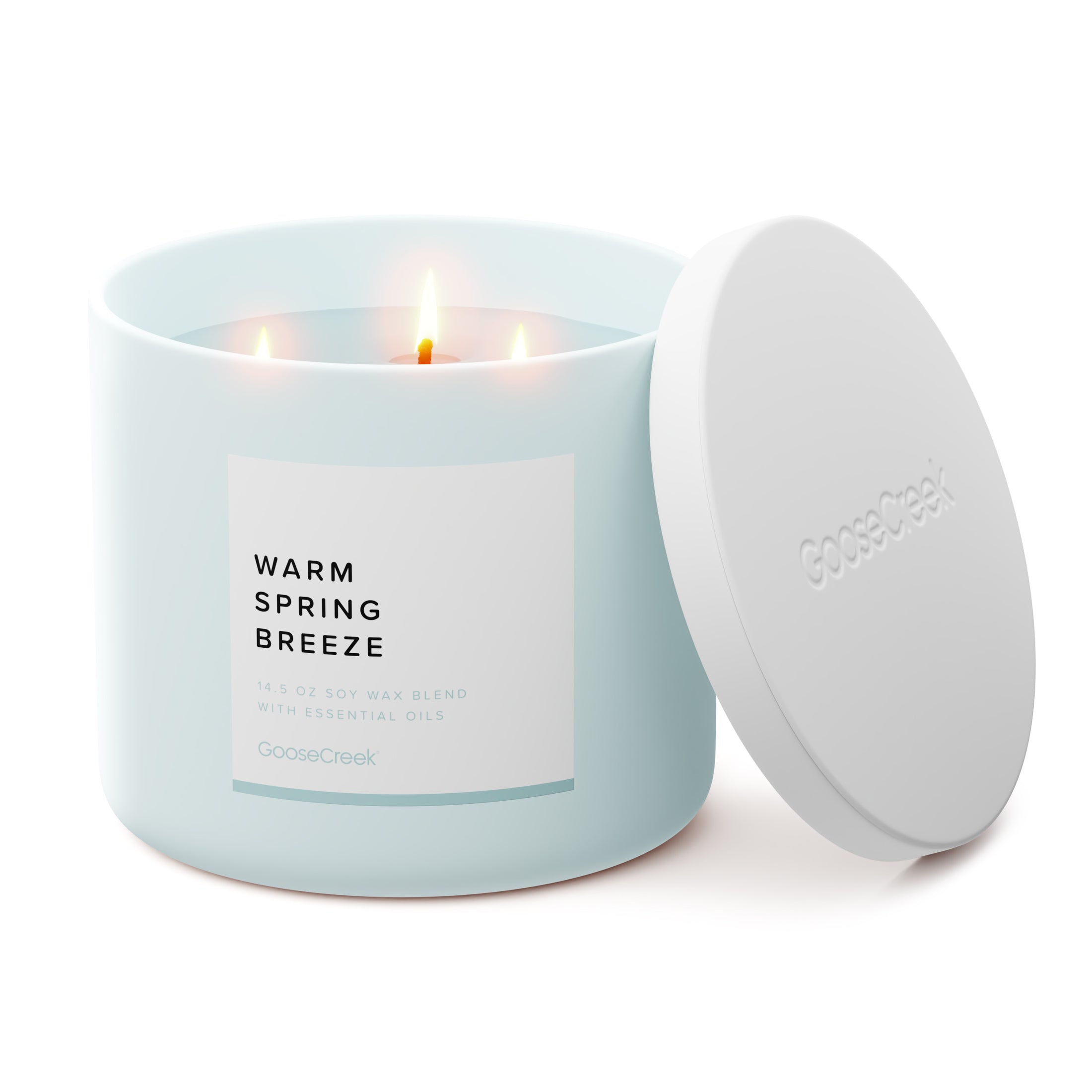 Warm Spring Breeze Large 3-Wick Candle - Uplifting Scent of Spring | Fresh Air, Waters, Melon ...