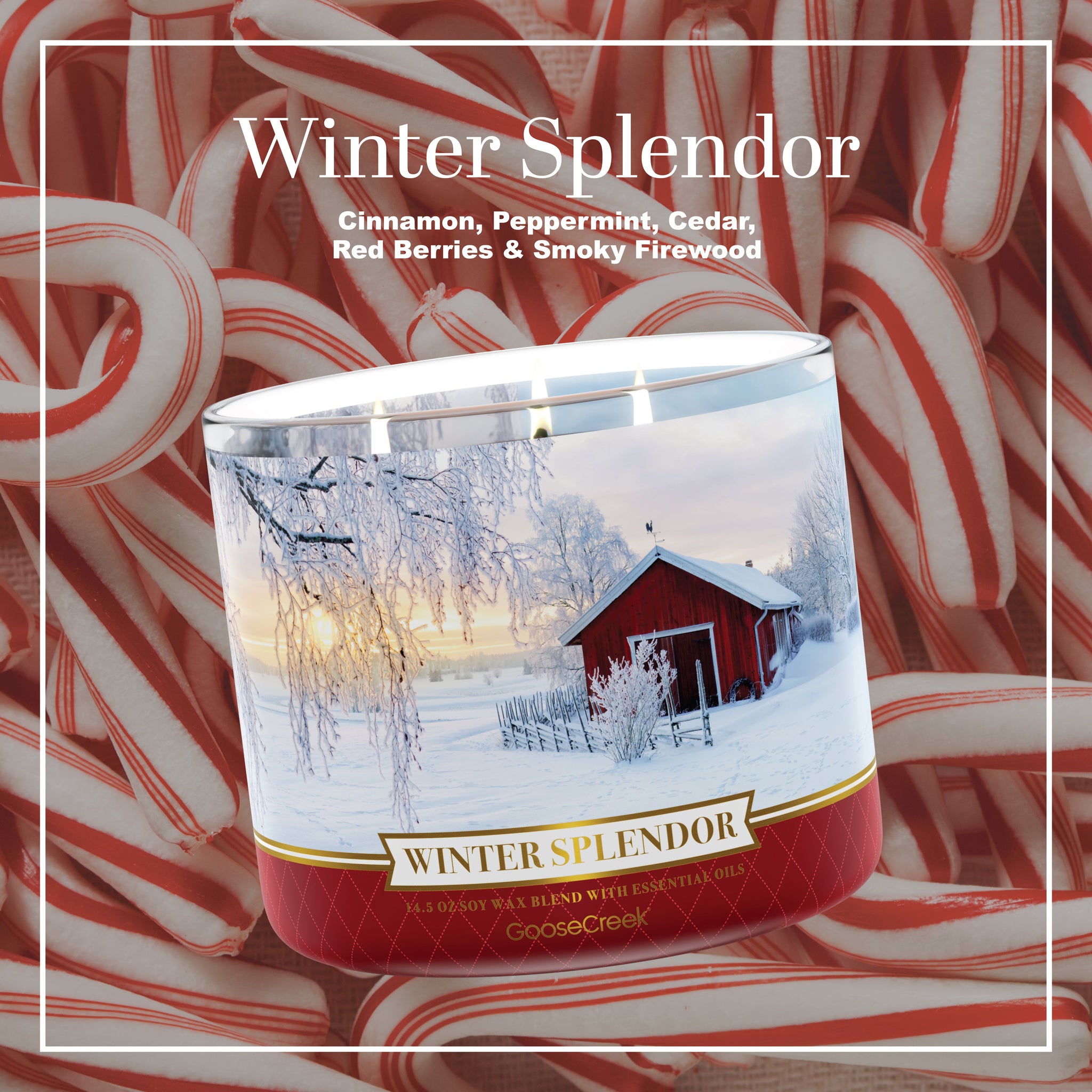 Winter Splendor Large 3-Wick Candle: Invigorating Peppermint and ...